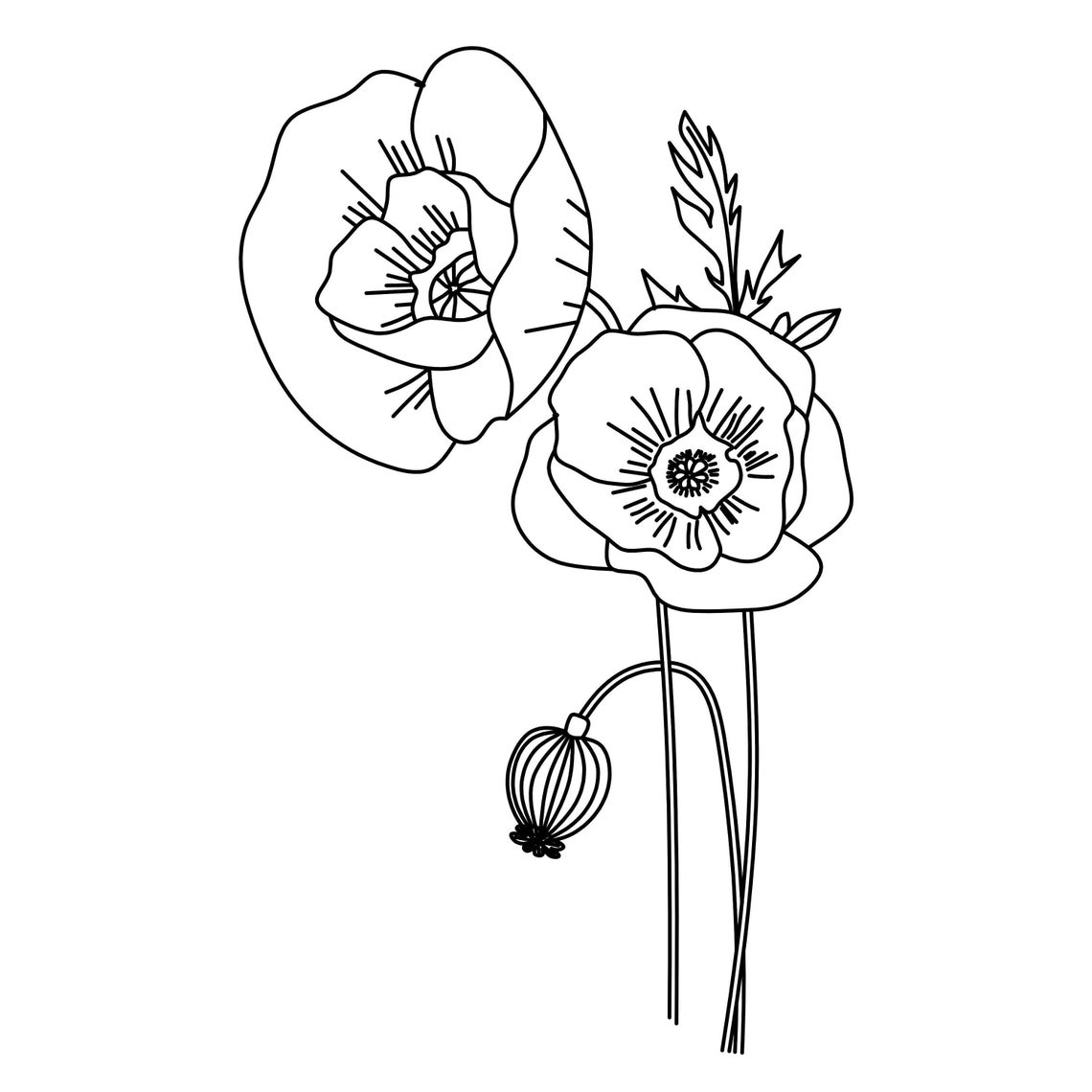 Poppy Line Drawing Unique Flower Art Hand Drawn Art Digital Download ...