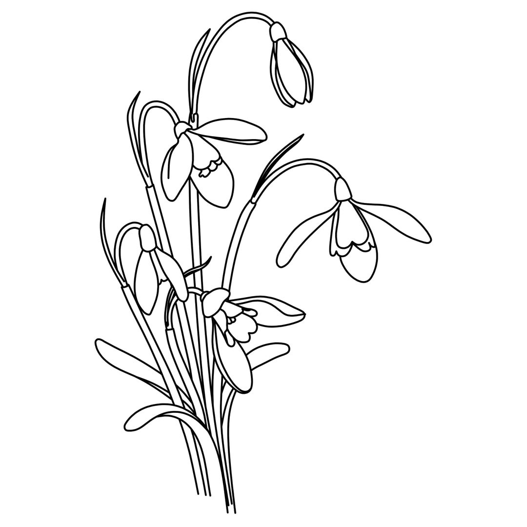 Snowdrops Line Drawing Unique Flower Art Hand Drawn Art Digital ...