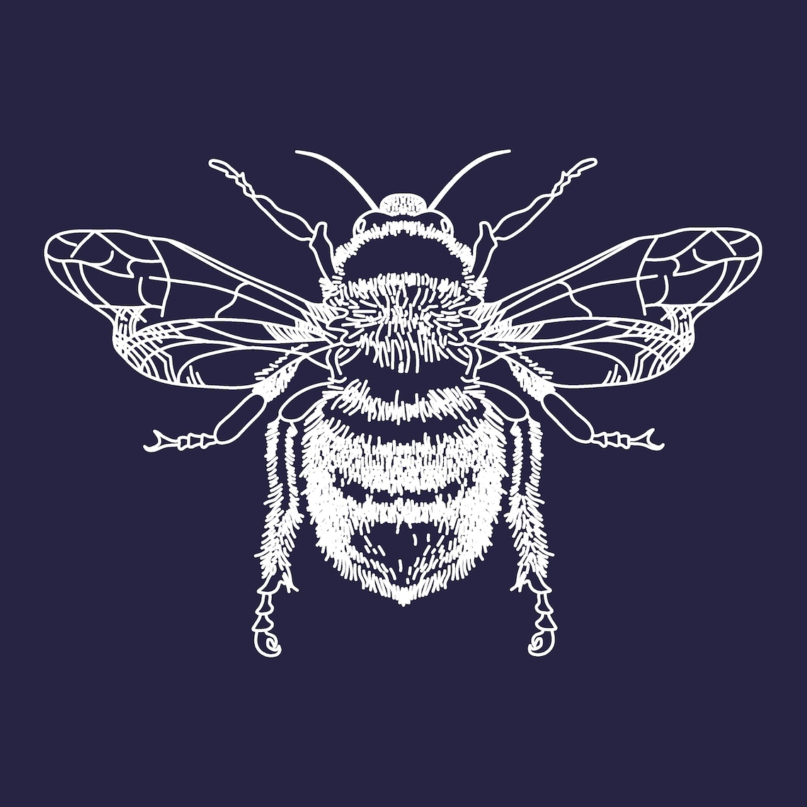 Honey Bee Line Drawing Unique Animal Art Hand Drawn Art Digital ...