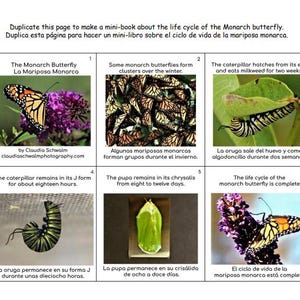 Trees for the Monarch Butterflies/Árboles Para Las Mariposas Monarca ...