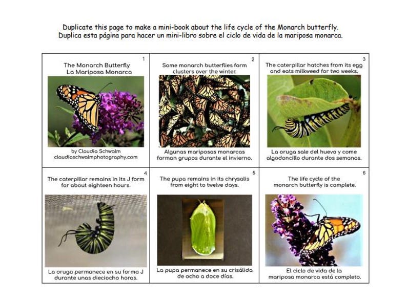 Trees for the Monarch Butterflies/Árboles Para Las Mariposas Monarca ...