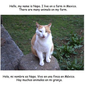 Trees for the Monarch Butterflies/Árboles Para Las Mariposas Monarca ...