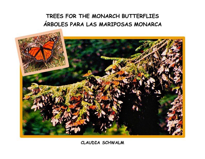 Trees for the Monarch Butterflies/Árboles Para Las Mariposas Monarca ...