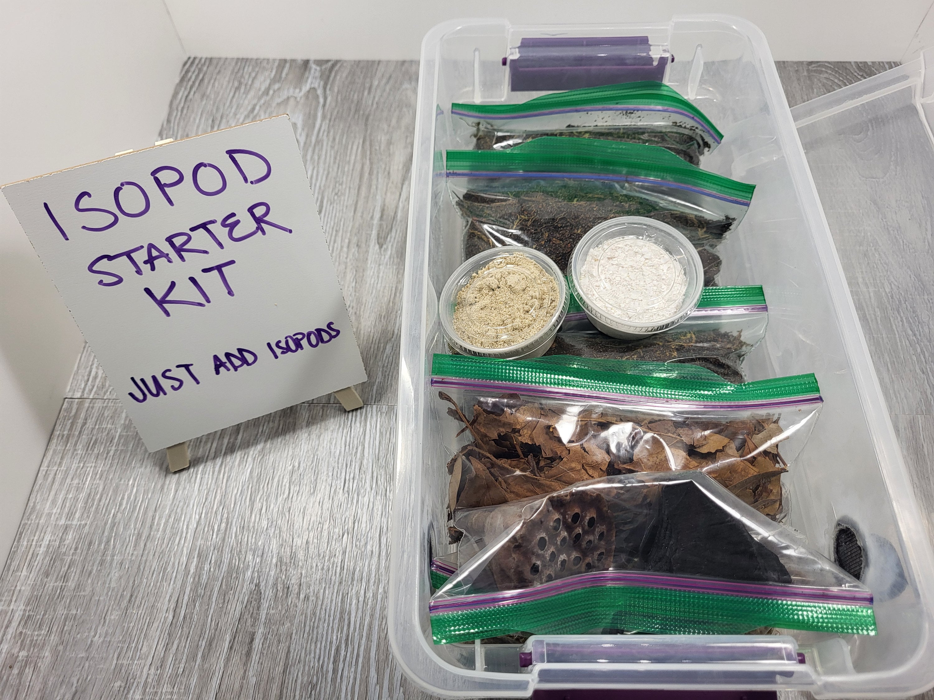Isopod Starter Kit - Etsy