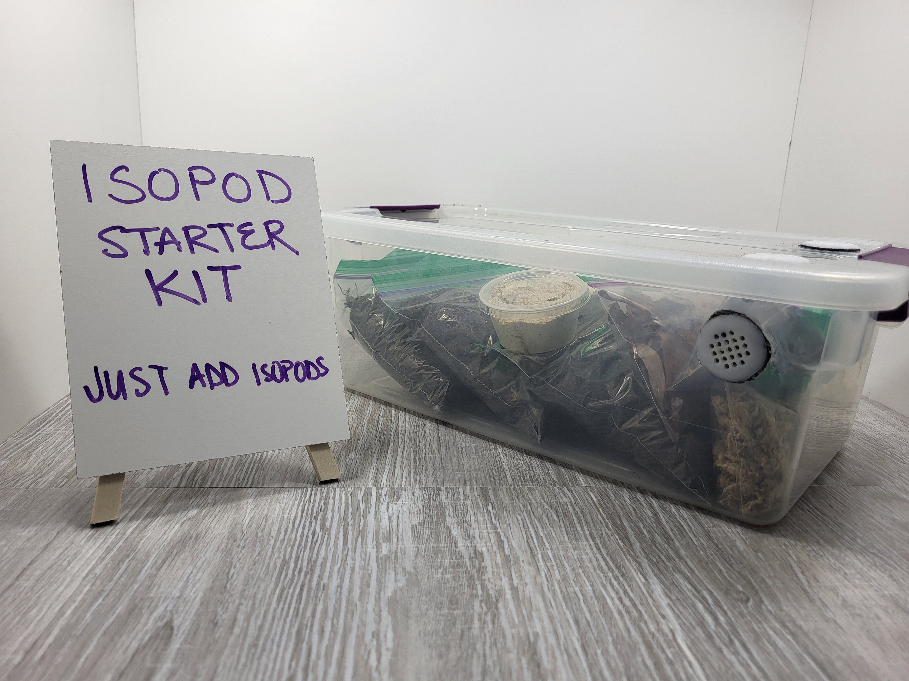 Isopod Starter Kit - Etsy