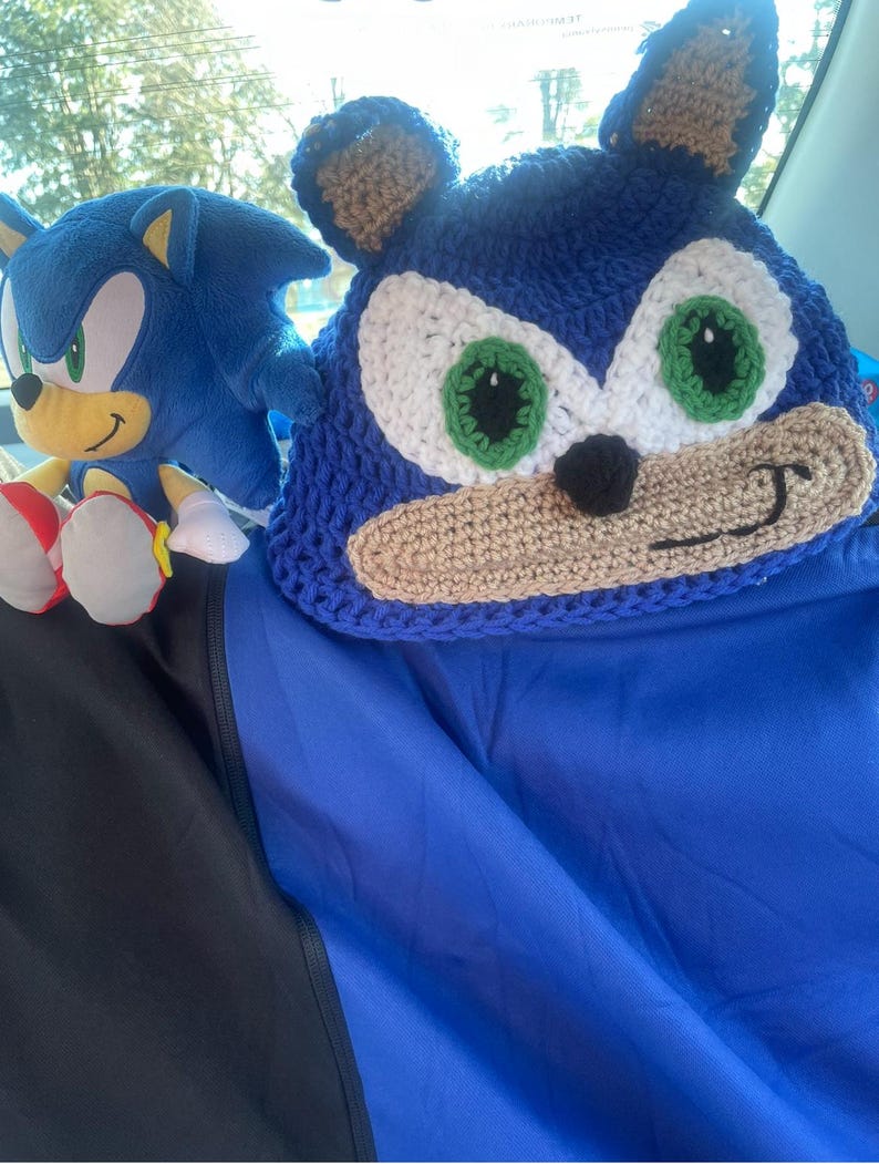 Sonic Hedgehog Crochet Pattern Blue Speedhog Hat Crochet Fast Hedgehog ...