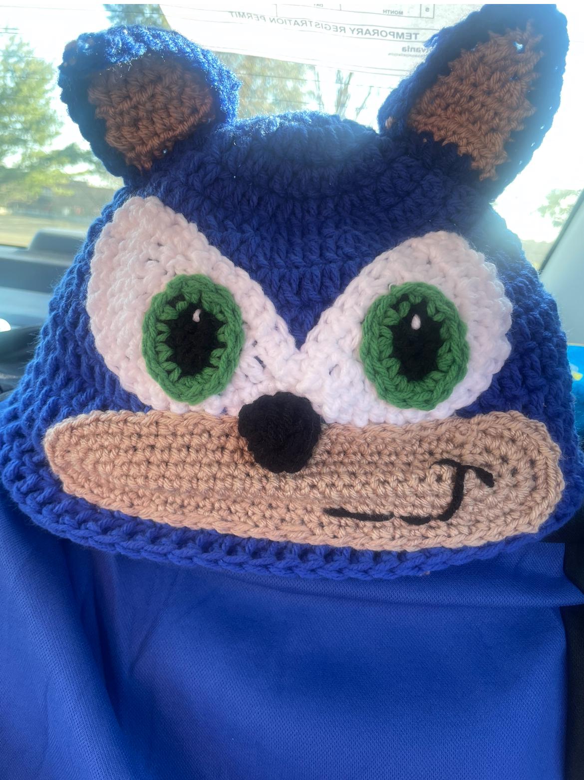 Sonic Hedgehog Crochet Pattern: Blue Speedhog Hat, Car Seat Cover (PDF ...