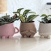 Set of Happy Face Plant Pots Cute Plant Pot Hear See and Be Silent ...