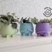 Set of Happy Face Plant Pots Cute Plant Pot Hear See and Be Silent ...