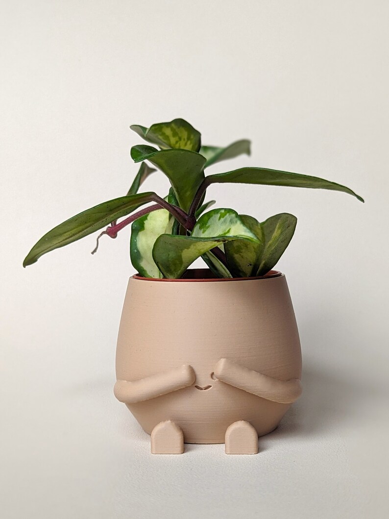 Set of Happy Face Plant Pots Cute Plant Pot Hear See and Be Silent ...