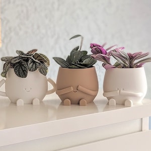 Set of Happy Face Plant Pots Cute Plant Pot Hear See and Be Silent ...