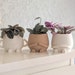 Set of Happy Face Plant Pots Cute Plant Pot Hear See and Be Silent ...