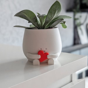 Happy Plant Pot Valentine Gift for Her Gift for Him Valentine's Day ...
