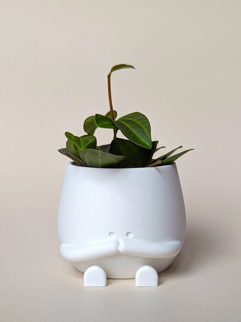 Set of Happy Face Plant Pots Cute Plant Pot Hear See and Be Silent ...