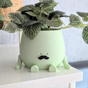 Happy Mustache Plant Pot Happy Face Plant Pot Decoration Pot Plant ...