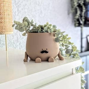 Happy Mustache Plant Pot Happy Face Plant Pot Decoration Pot Plant ...