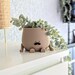 Happy Mustache Plant Pot Happy Face Plant Pot Decoration Pot Plant ...