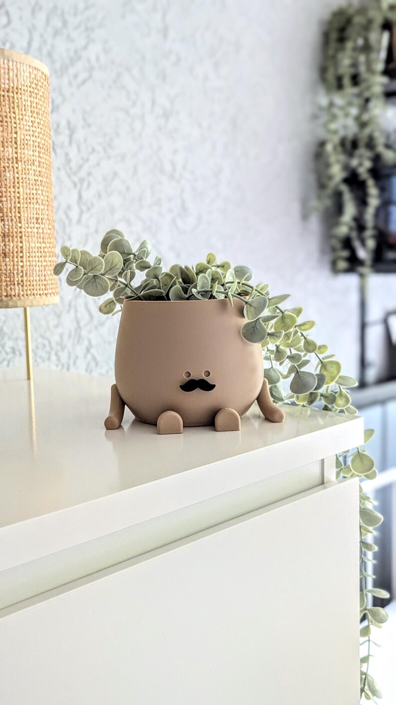 Happy Mustache Plant Pot Happy Face Plant Pot Decoration Pot Plant ...