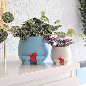Happy Plant Pot Valentine Gift for Her Gift for Him Valentine's Day ...