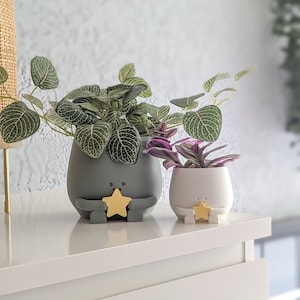 Plant Pot Happy Face Cosmic Star and Moon Universe Galaxy Decor Indoor ...