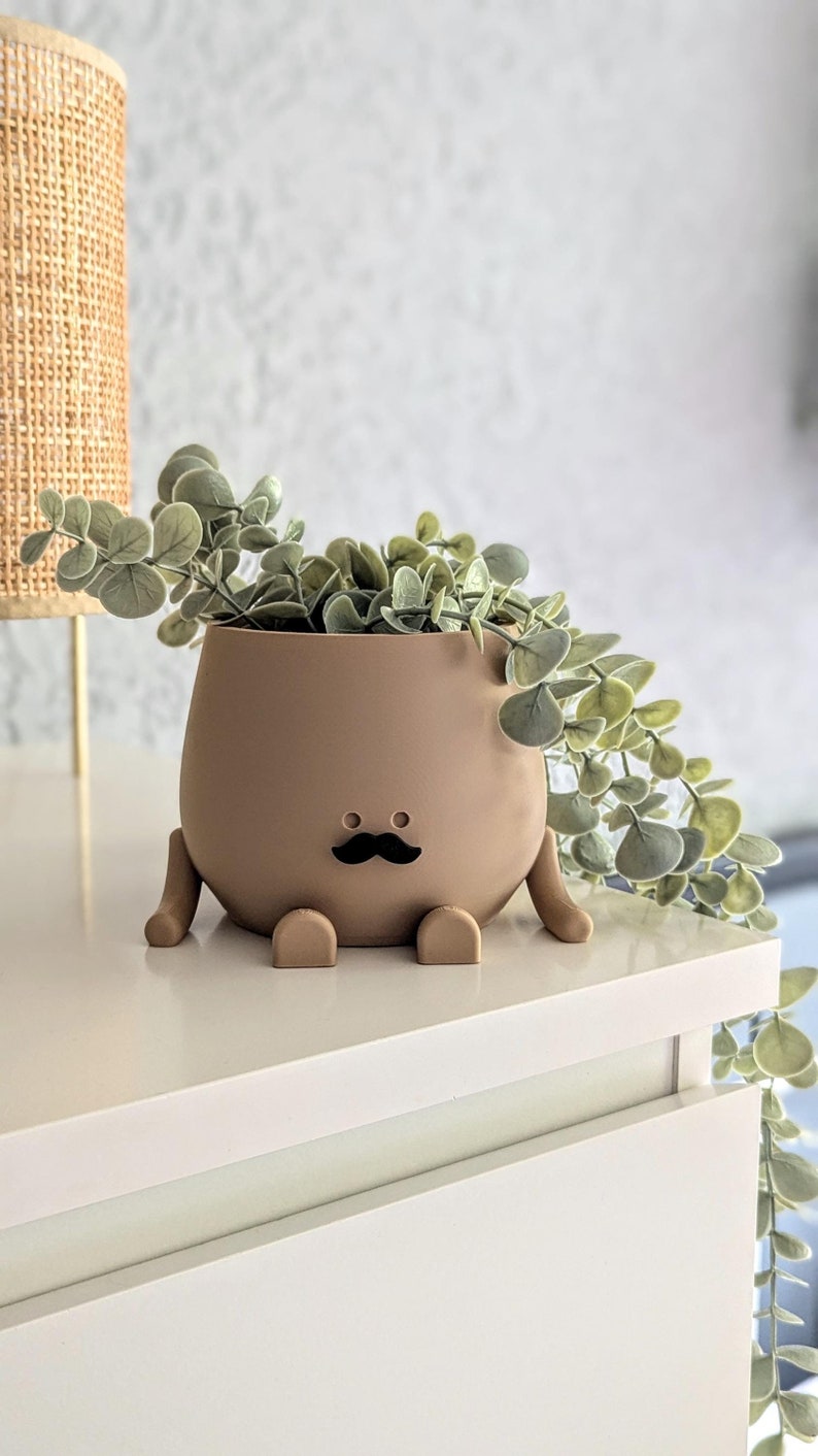 Happy Mustache Plant Pot Happy Face Plant Pot Decoration Pot Plant ...