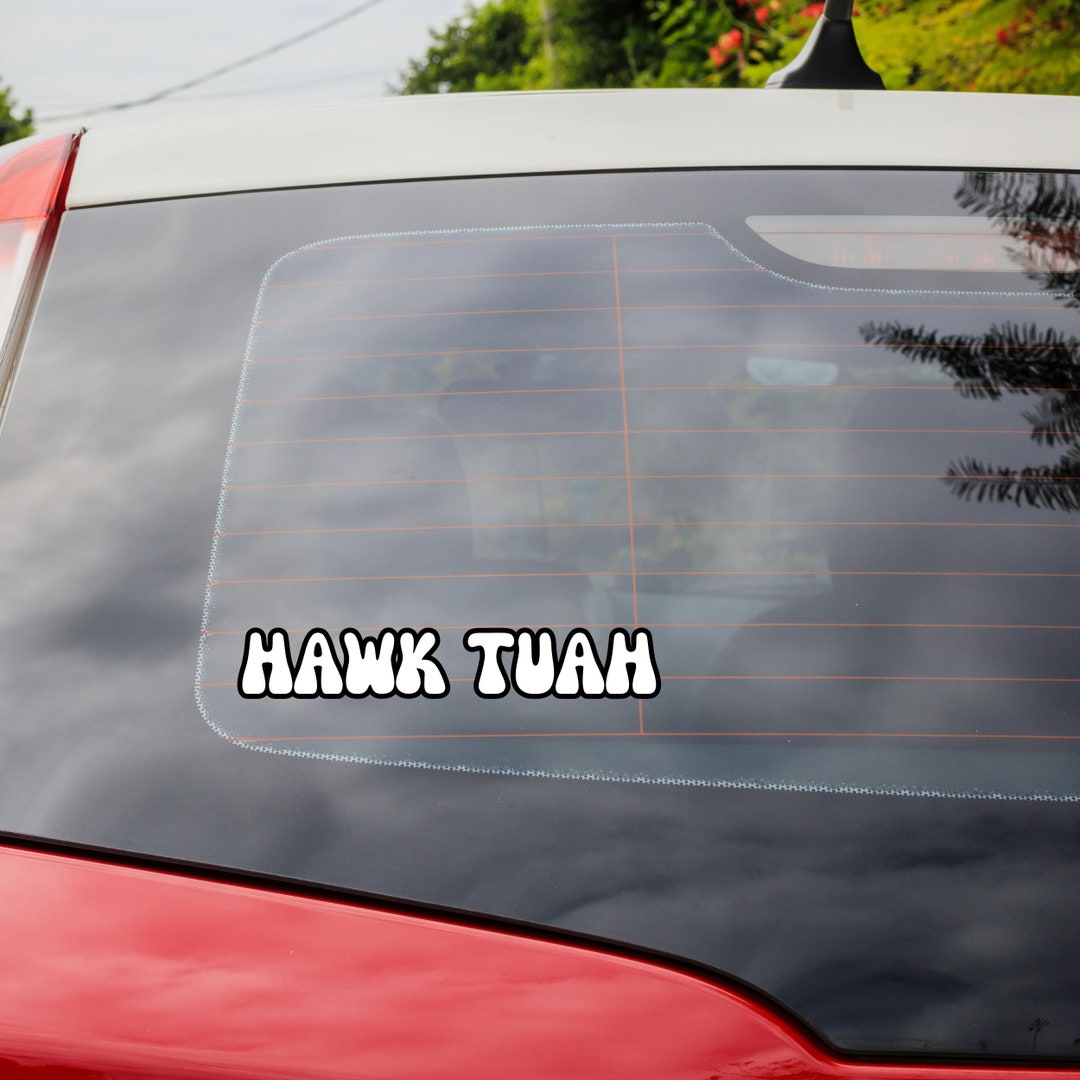 HAWK TUAH PNG Funny Png Viral Video Graphic Decal Shirt Stickers Hawk ...