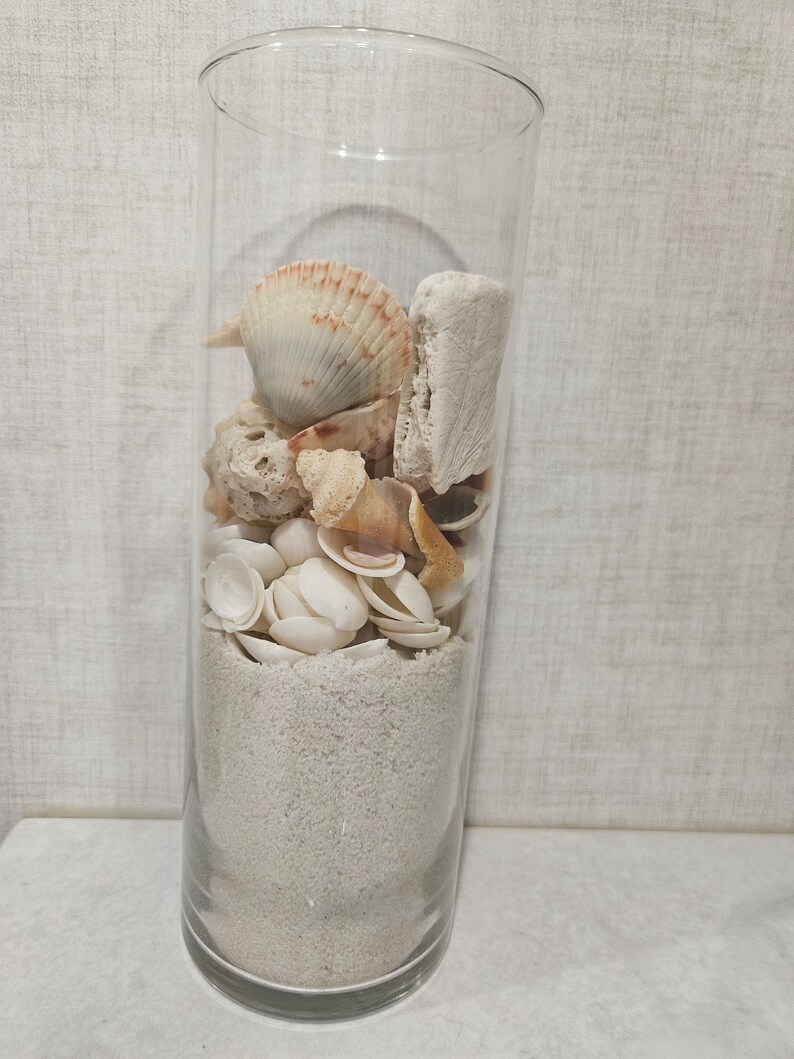 Sand and Shells in Glass Vase From the Gulf of Mexico Beaches - Etsy