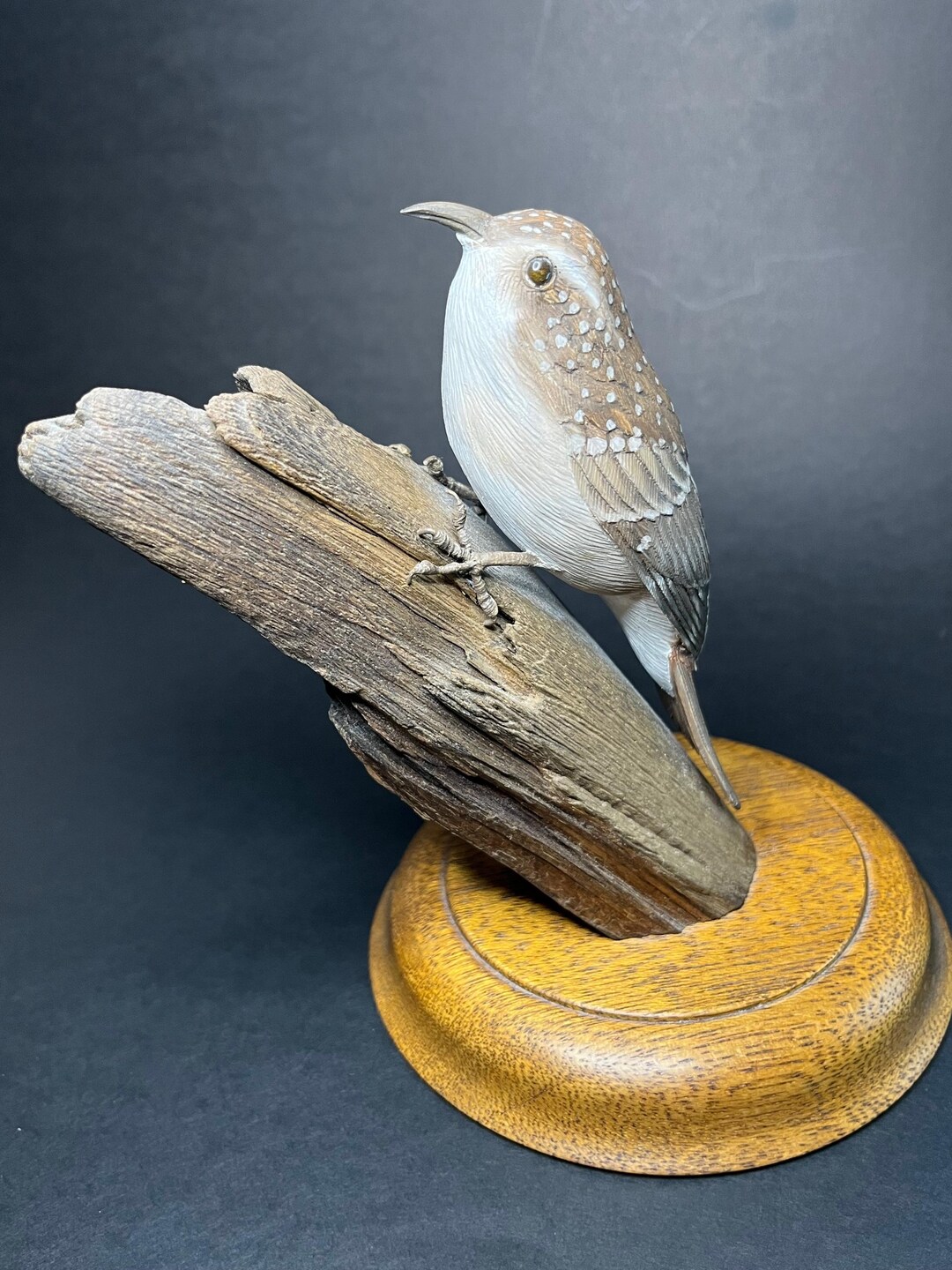 Vintage Brown Creeper Bird Wooden Sculpture Kuris Raits BC Canada Art ...