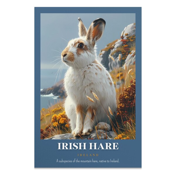 Mountain Hare - Etsy
