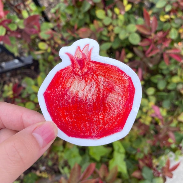 Aesthetic Pomegranate Sticker - Etsy