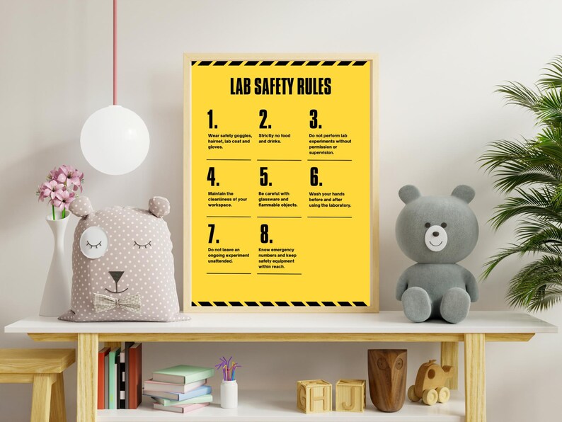 Lab Safety Rules Poster Set – Science Classroom Decor (digital Download ...