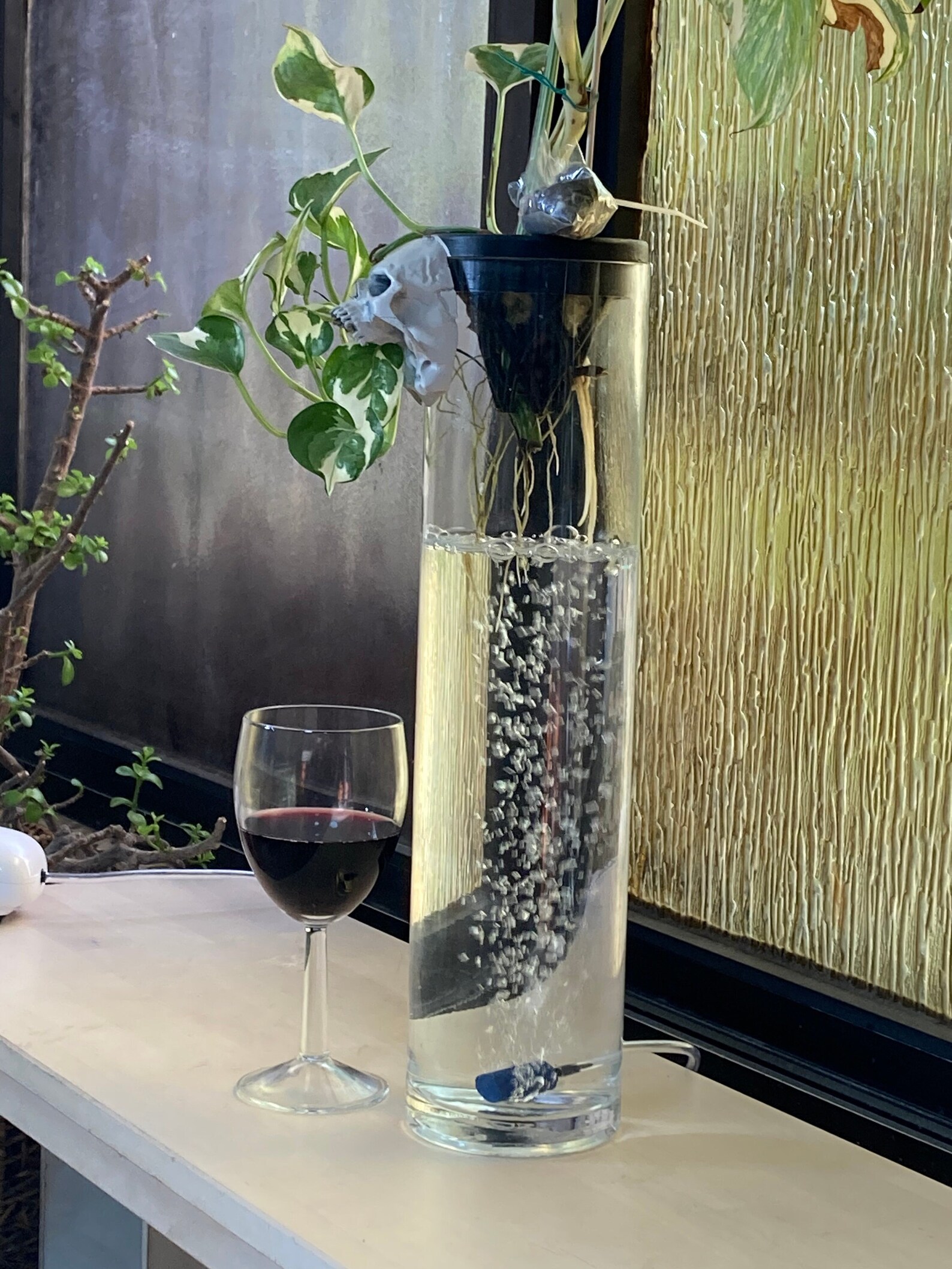 Bulla S Bubble Pot, Single 30 C"m Glass Cylinder Hydroponic Planter ...