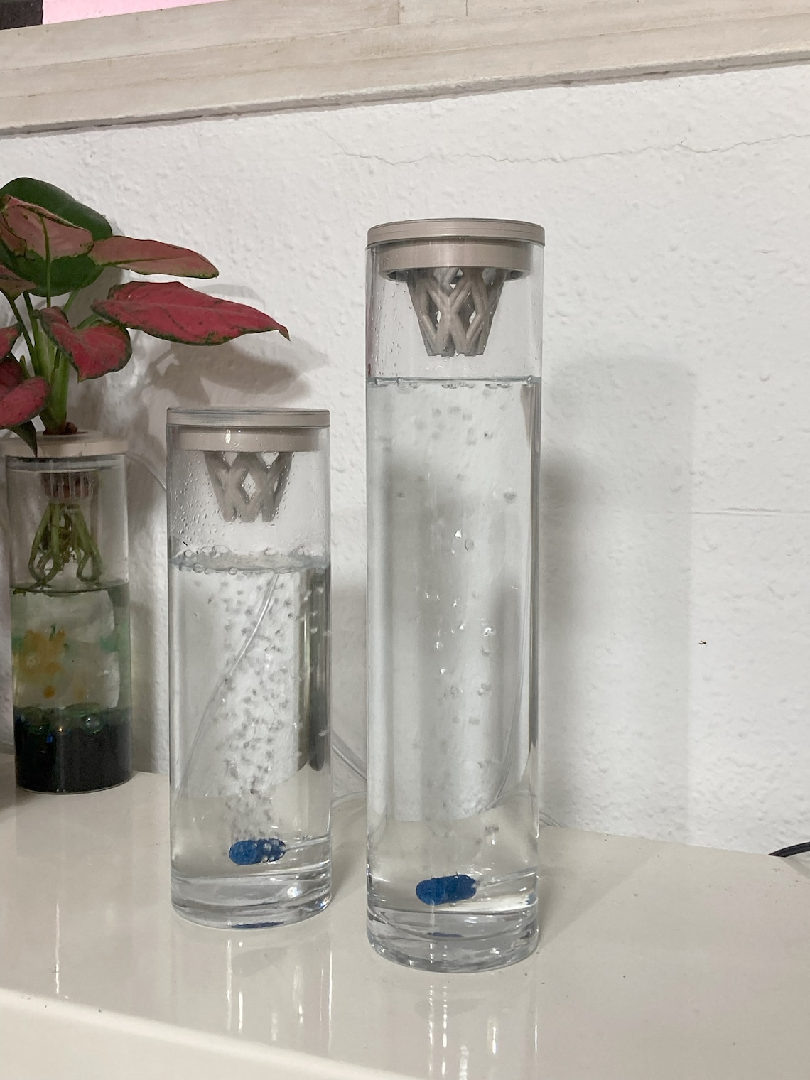 Bulla Bubble Pot, Set of Two Decorative Glass Cylinders Hydroponic ...