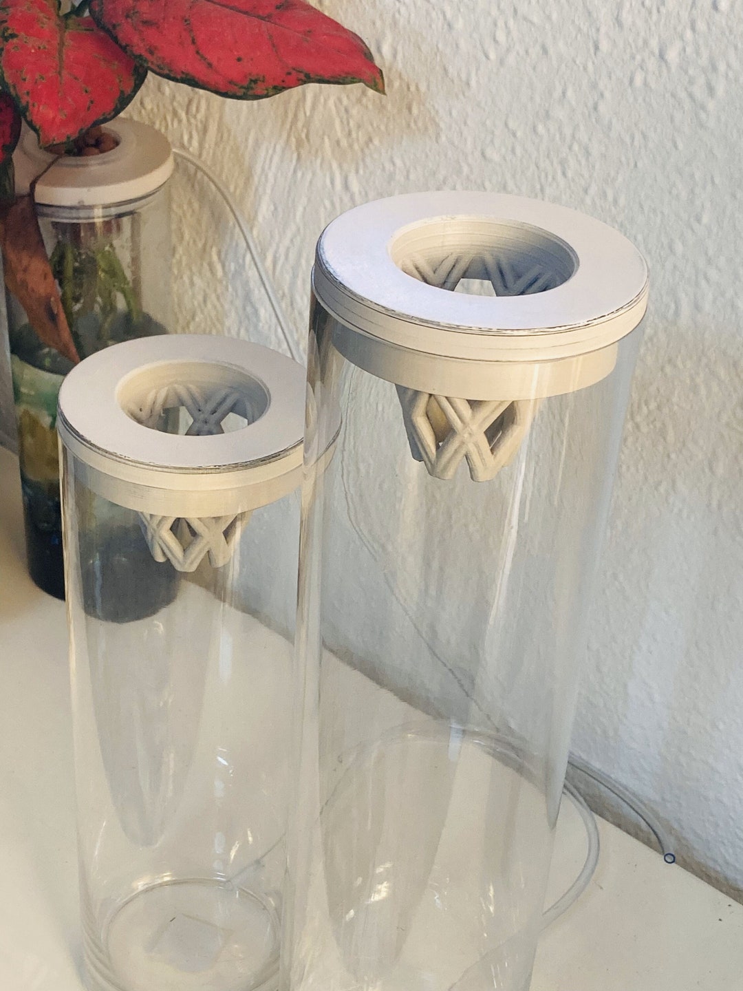Bulla Bubble Pot Set of Two Decorative Glass Cylinder Hydroponic ...
