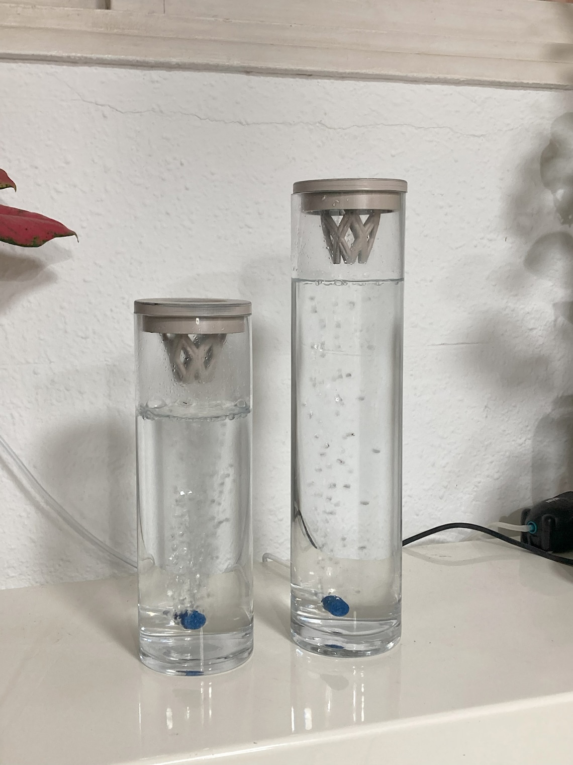 Bulla Bubble Pot, Set of Two Decorative Glass Cylinders Hydroponic ...