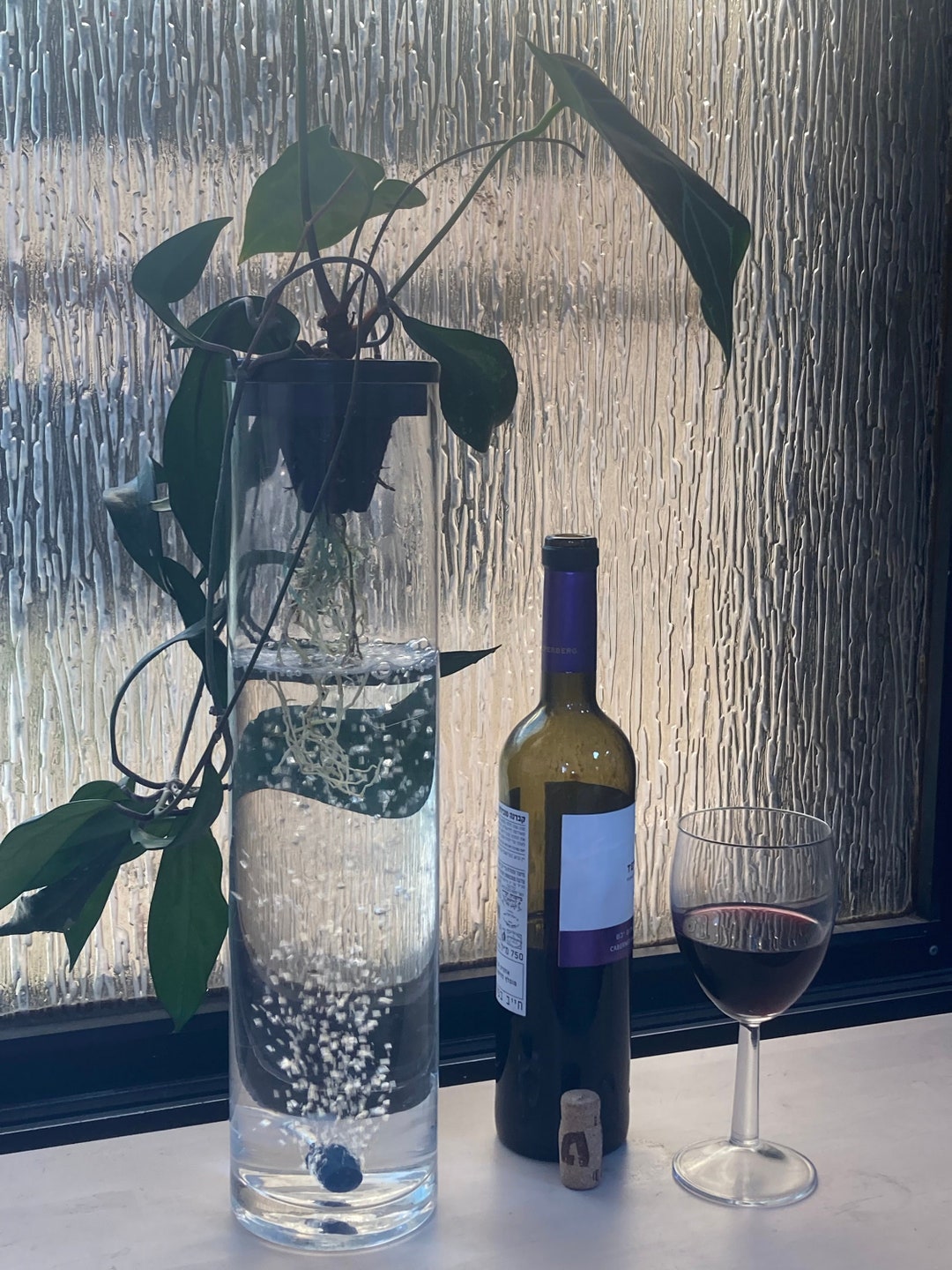 Bulla M Bubble Pot, Single 40 C"m Glass Cylinder Hydroponic Planter ...