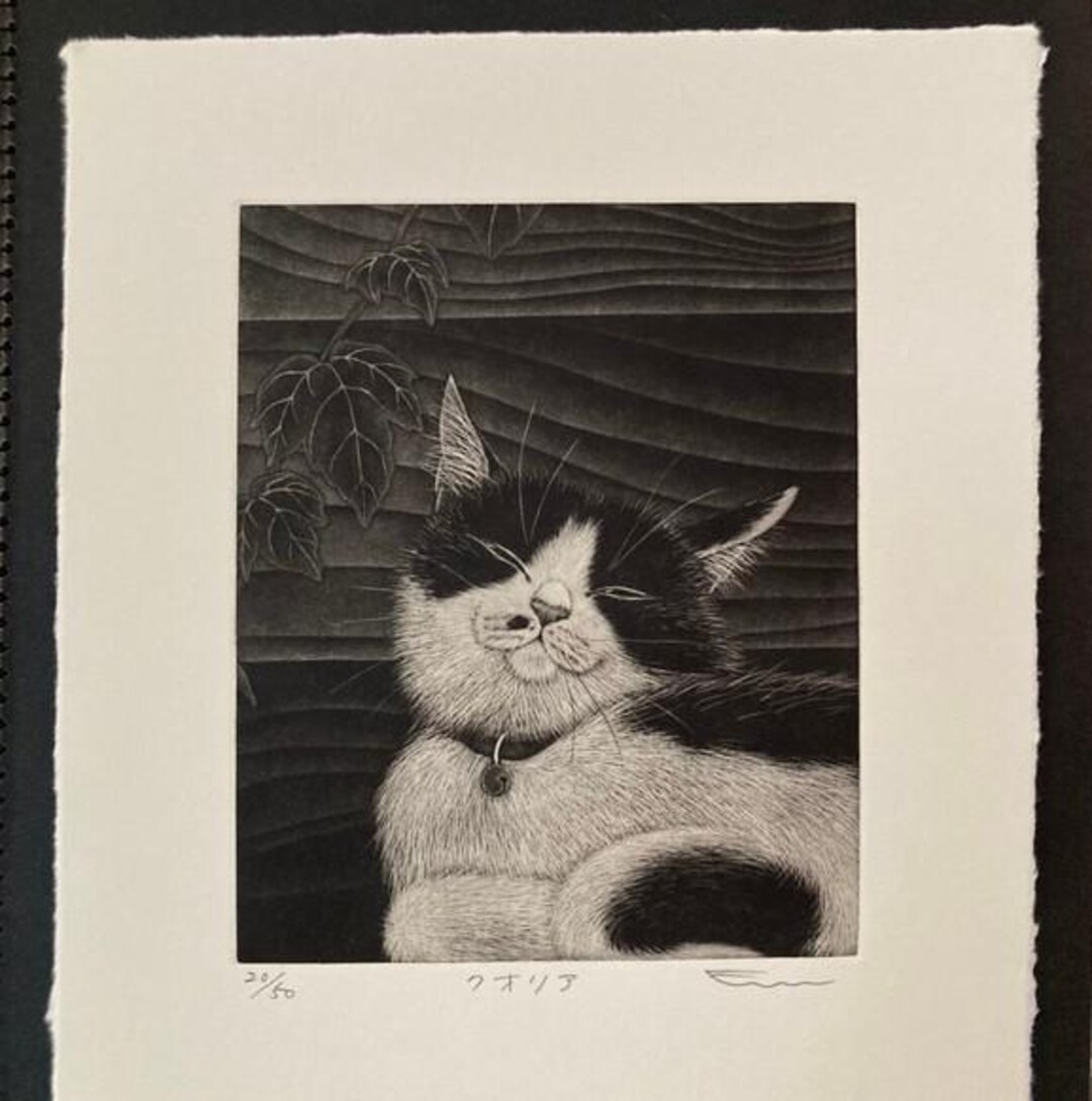 SATO EMI "kuoria" Japanese Mezzotint Art Hand Signed Numbered ED50 Monochrome Animal Cat Cute ...
