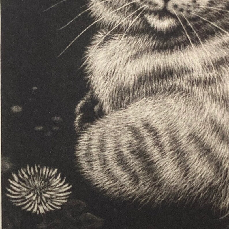 EMI SATO tora-chan cat Name Etching Print - Etsy