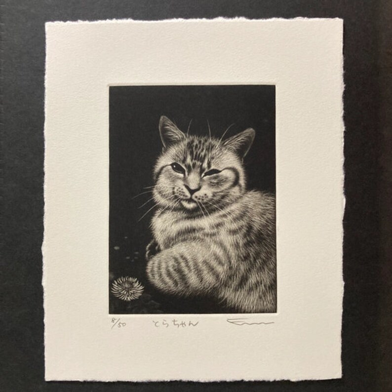 EMI SATO tora-chan cat Name Etching Print - Etsy