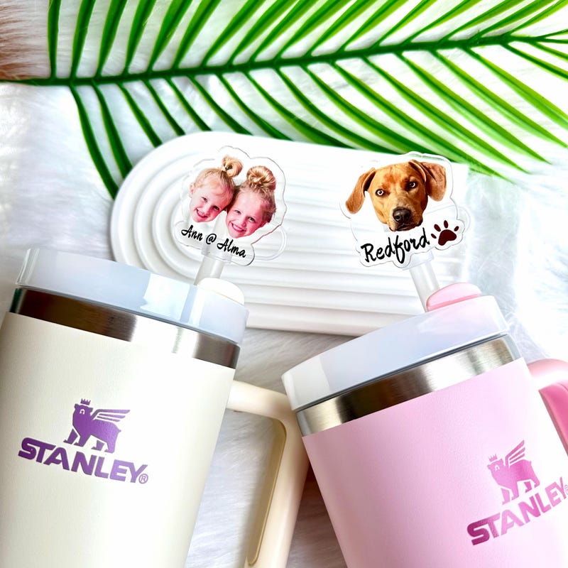 Stanley Topper Straw - Etsy