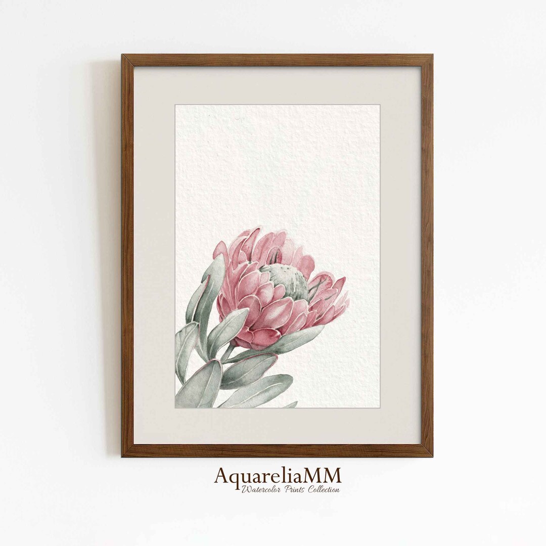 Pink Protea Print, Watercolor Protea Wall Art, Flowers Prints, Flower ...