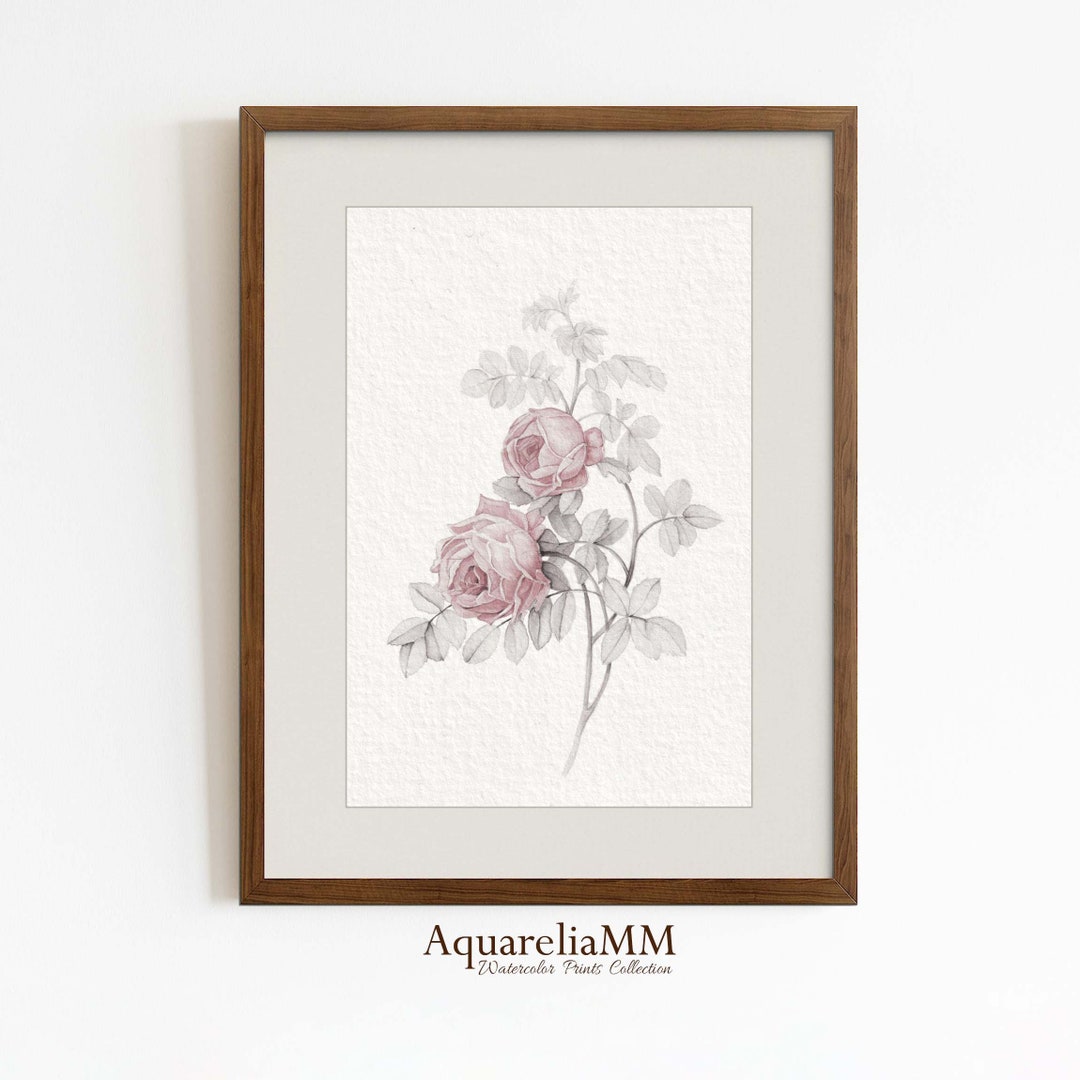 Rose Pink Flower Wall Art, Blush Pink Flower Art Print, Rose Nursery ...