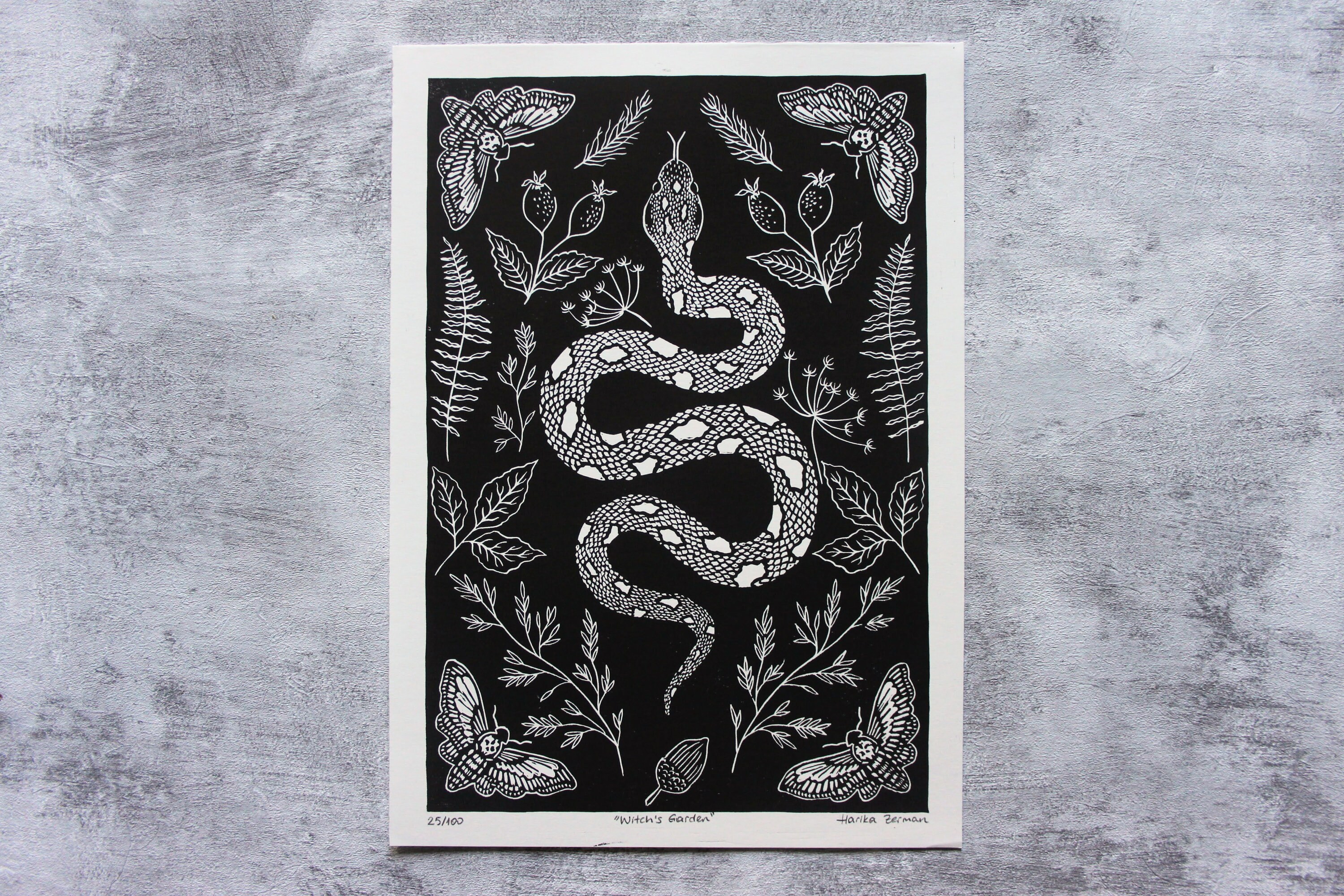 Witch's Garden Linocut Print, Snake and Moth Art Print - Etsy