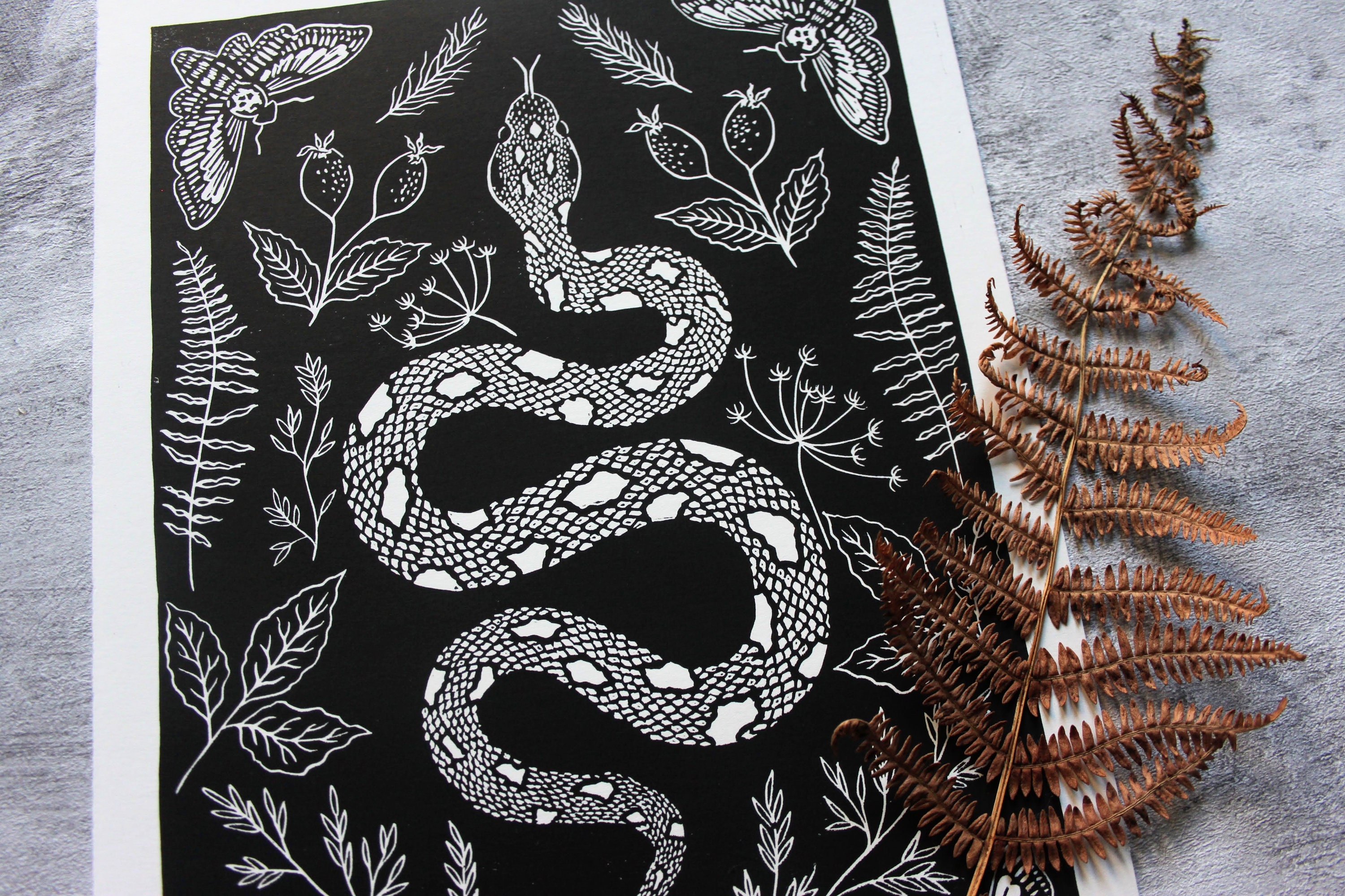 Witch's Garden Linocut Print, Snake and Moth Art Print - Etsy