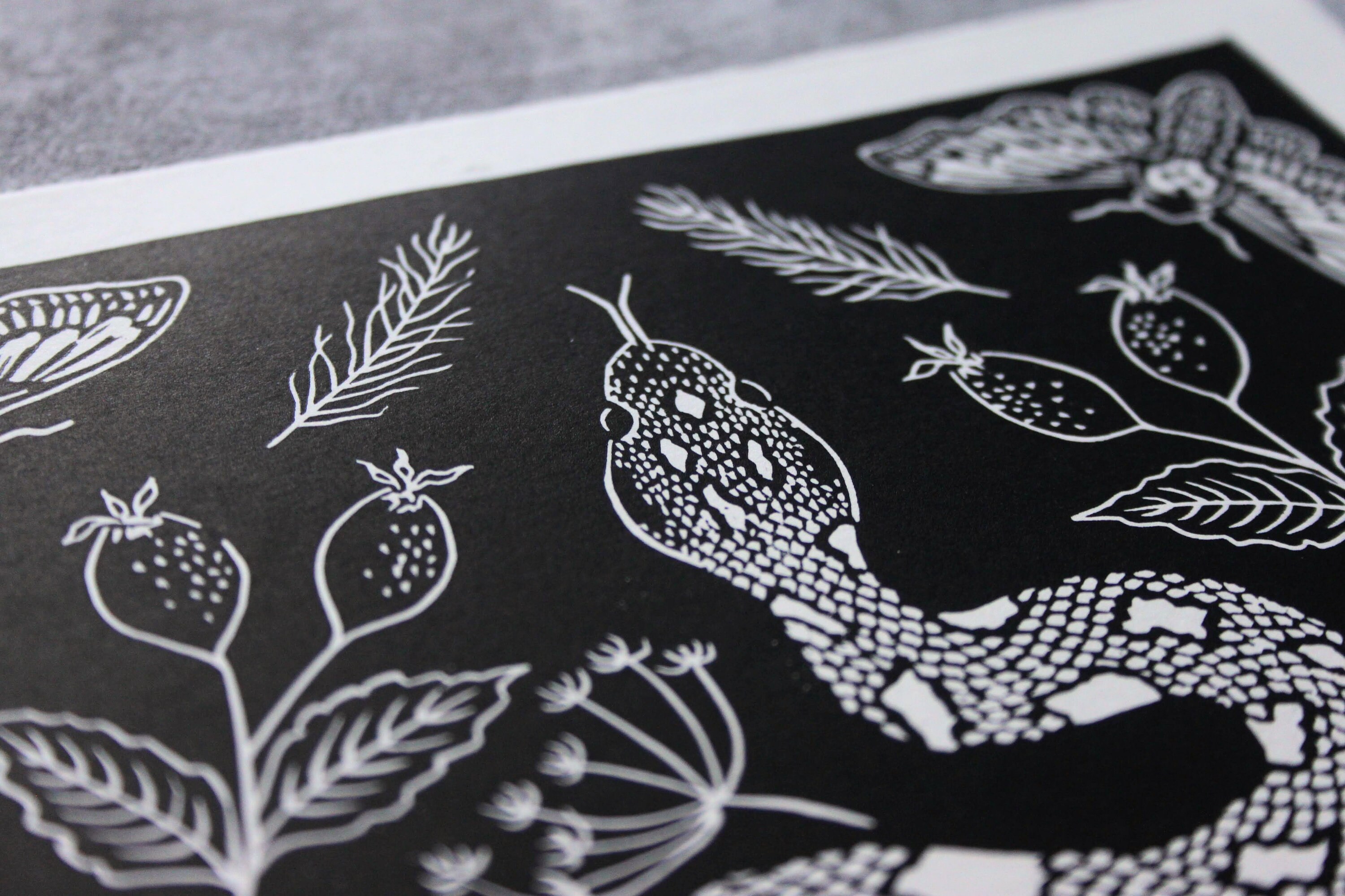 Witch's Garden Linocut Print, Snake and Moth Art Print - Etsy