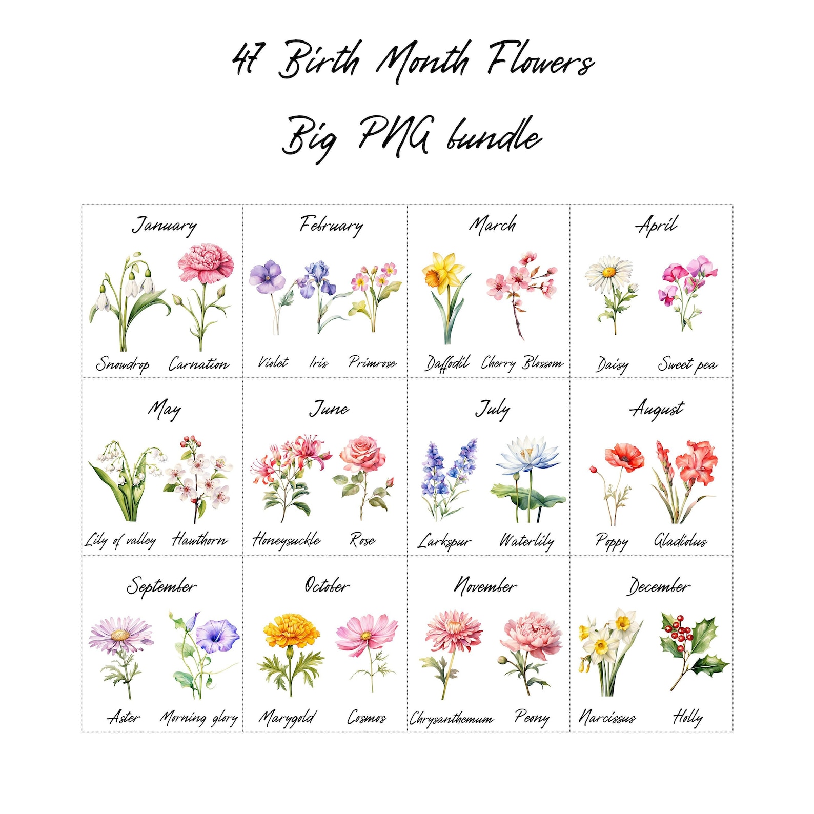 Watercolor Birth Month Flower Kit - 47 Watercolor Floral PNG Clipart ...