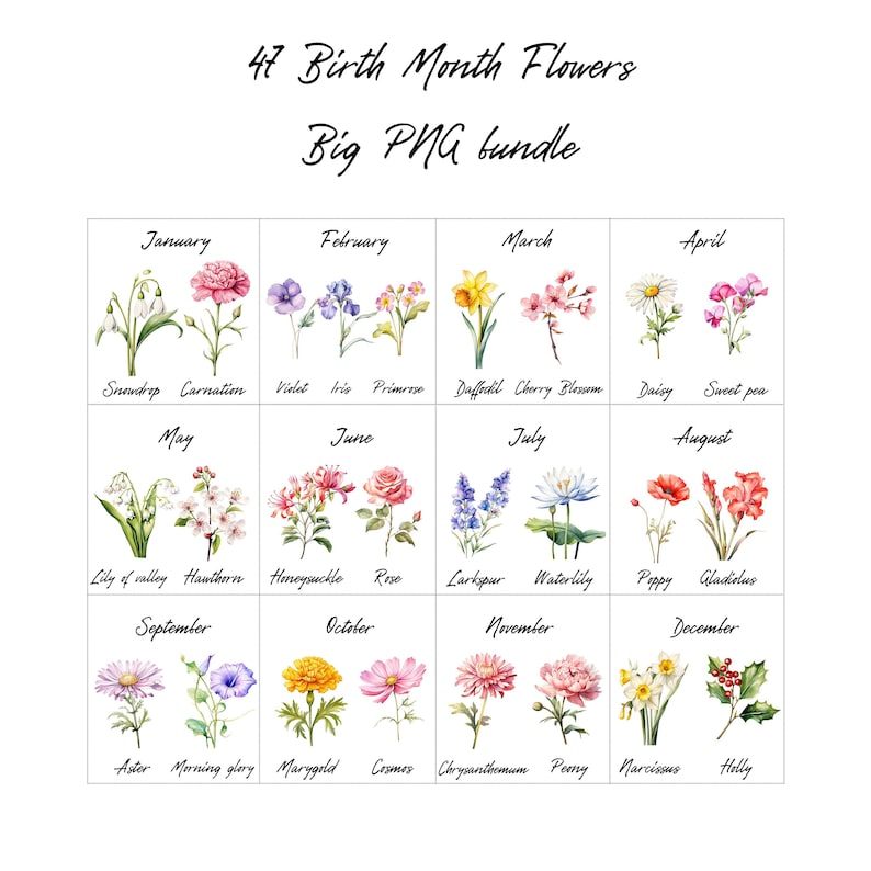 Watercolor Birth Month Flower Kit - 47 Watercolor Floral PNG Clipart ...