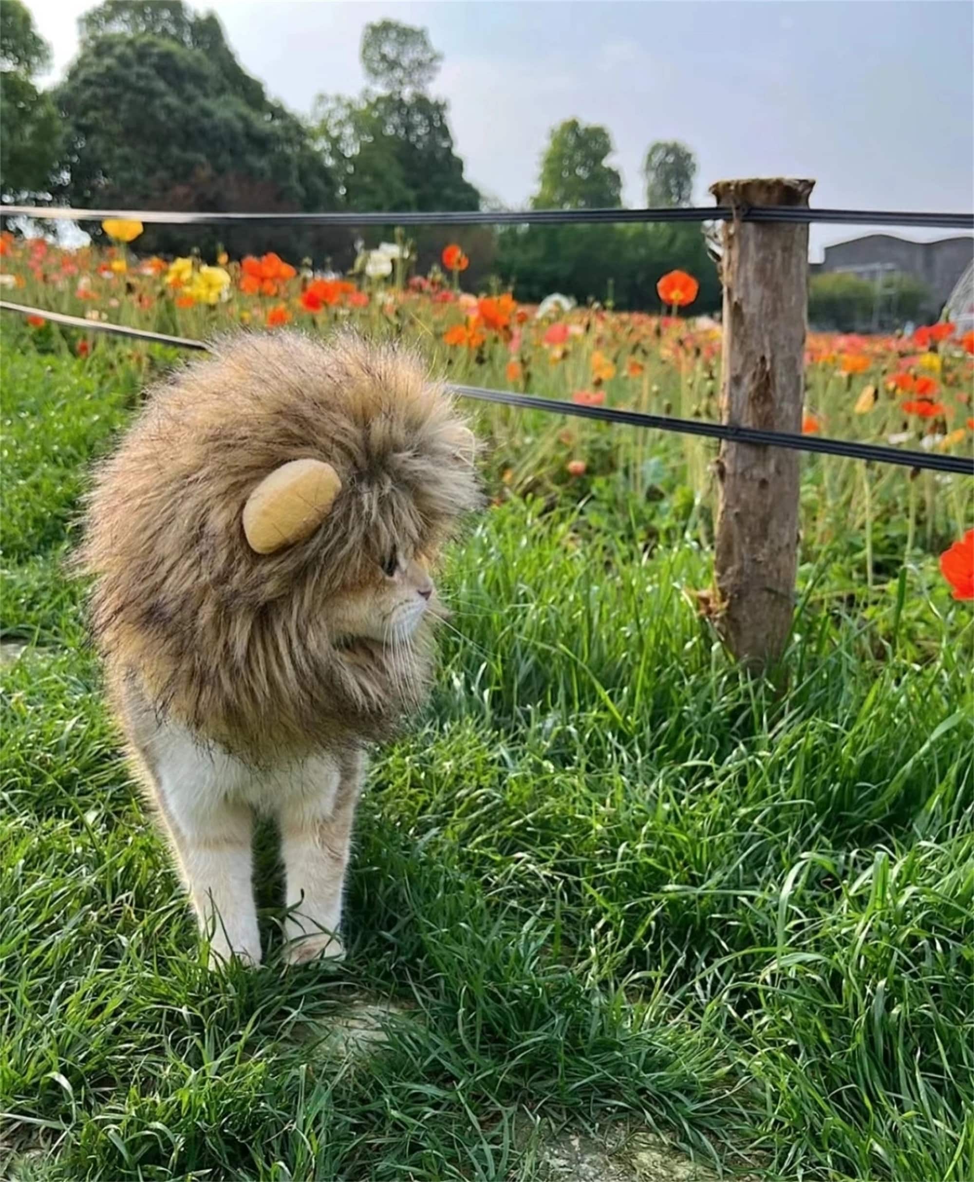 Cute Cat Lion Mane Costumefunny Pet Accessoryfancy Hair Cap - Etsy