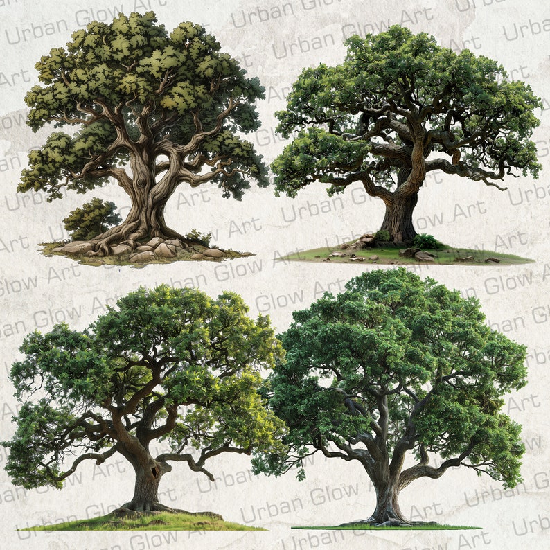 Oak Tree Clipart, Oak Forest Clipart Bundle, 16 Oak Tree Bundle, Tree ...