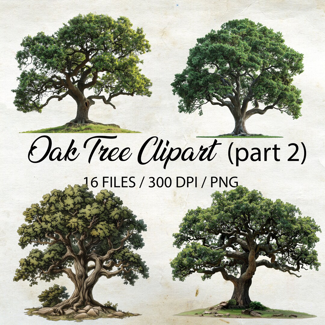 Oak Tree Clipart, Oak Forest Clipart Bundle, 16 Oak Tree Bundle, Tree ...